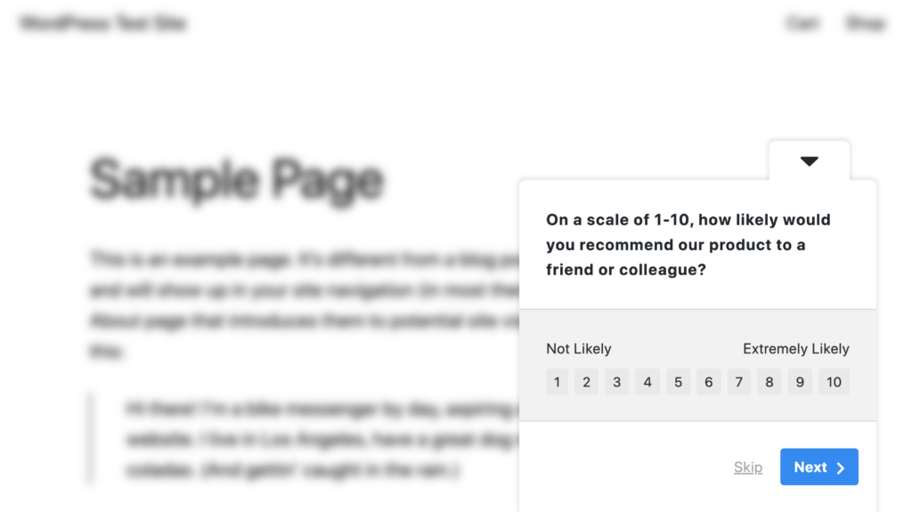 10 Online Survey Examples to Get You Started