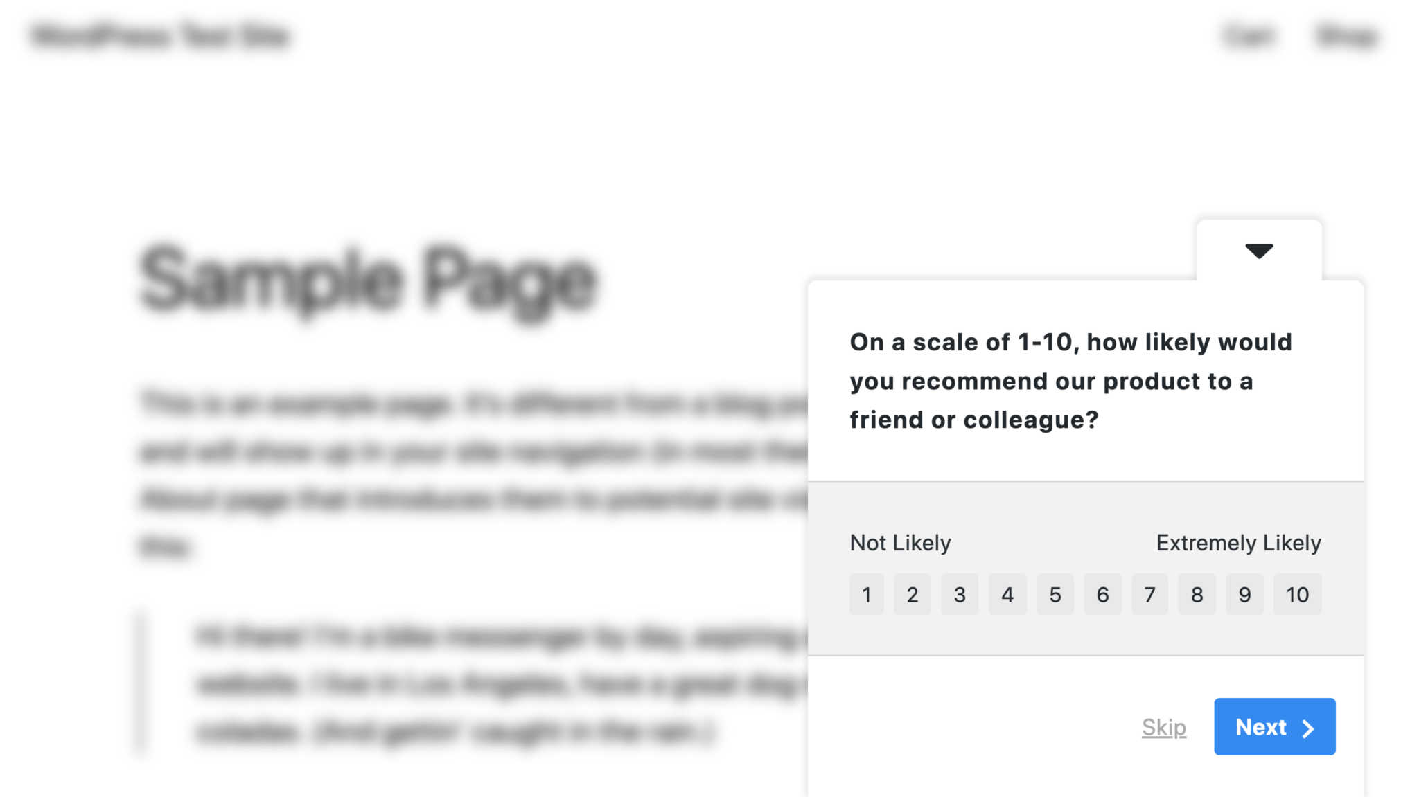 10 Online Survey Examples to Get You Started