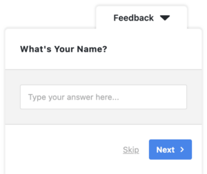 11 Best Website Survey Templates and Examples